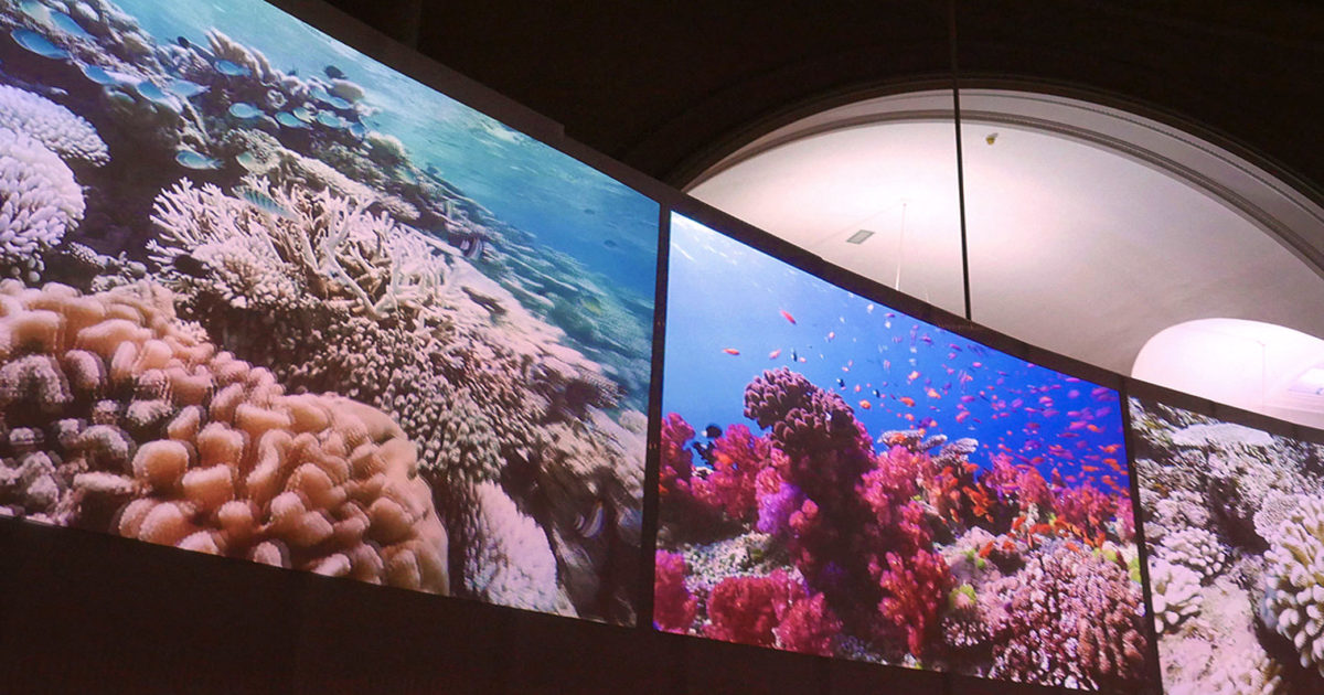 V&A – Work – Lovers